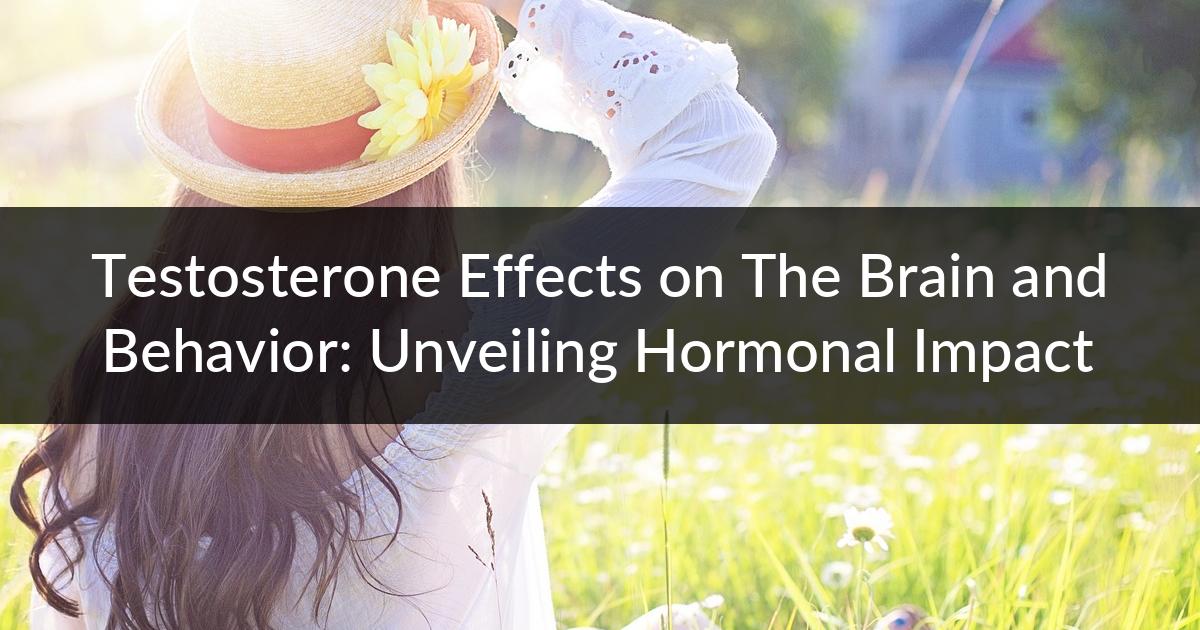 Testosterone Effects on The Brain and Behavior: Unveiling Hormonal ...
